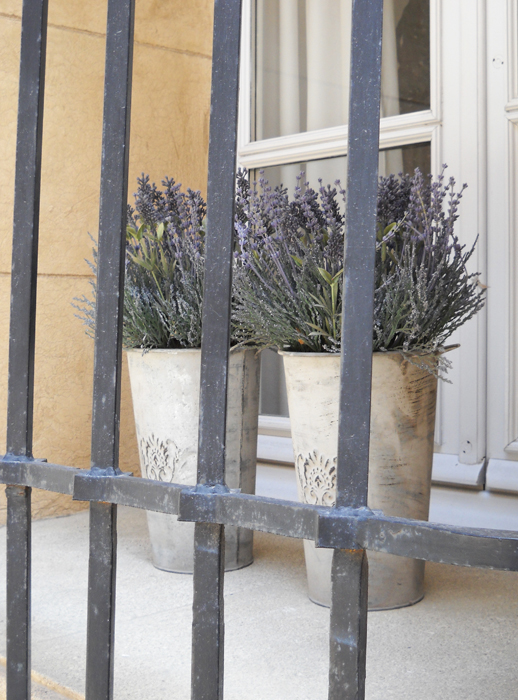 France | Life In Central California Wine Country | Venice & Vine