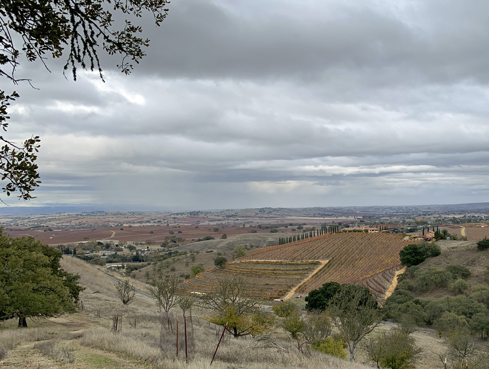 Venice In Fall | Life In Central California Wine Country | Venice & Vine